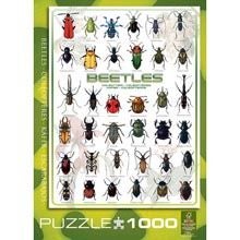 Beetles Puzzle | Schuylkill Center for Environmental Education
