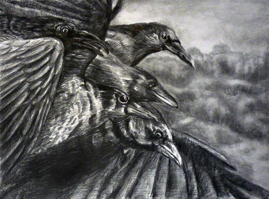 A Murder of Crows - Drawing and Poems | Schuylkill Center for ...